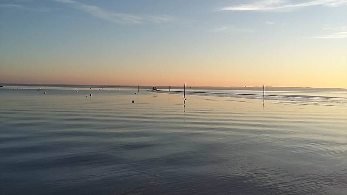 Les Callunes - LANTON - FRANCE