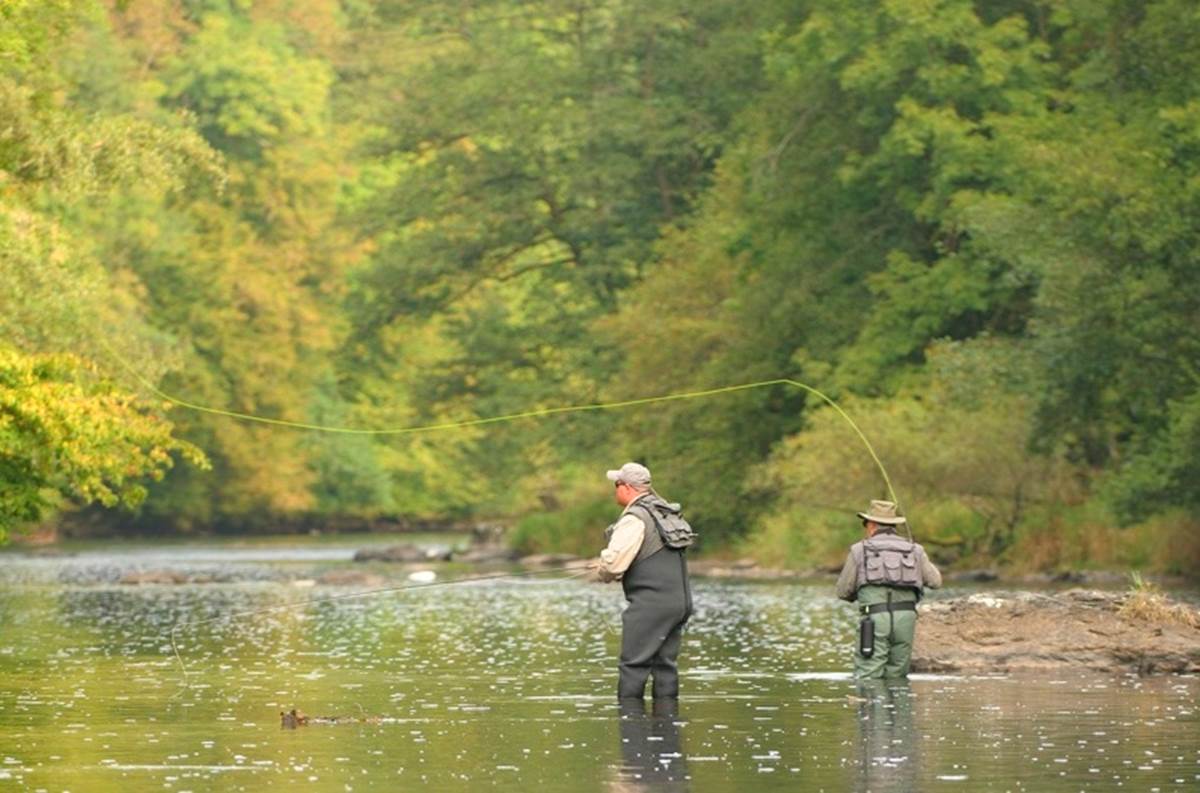 RIVEO - HOTTON - BELGIQUE