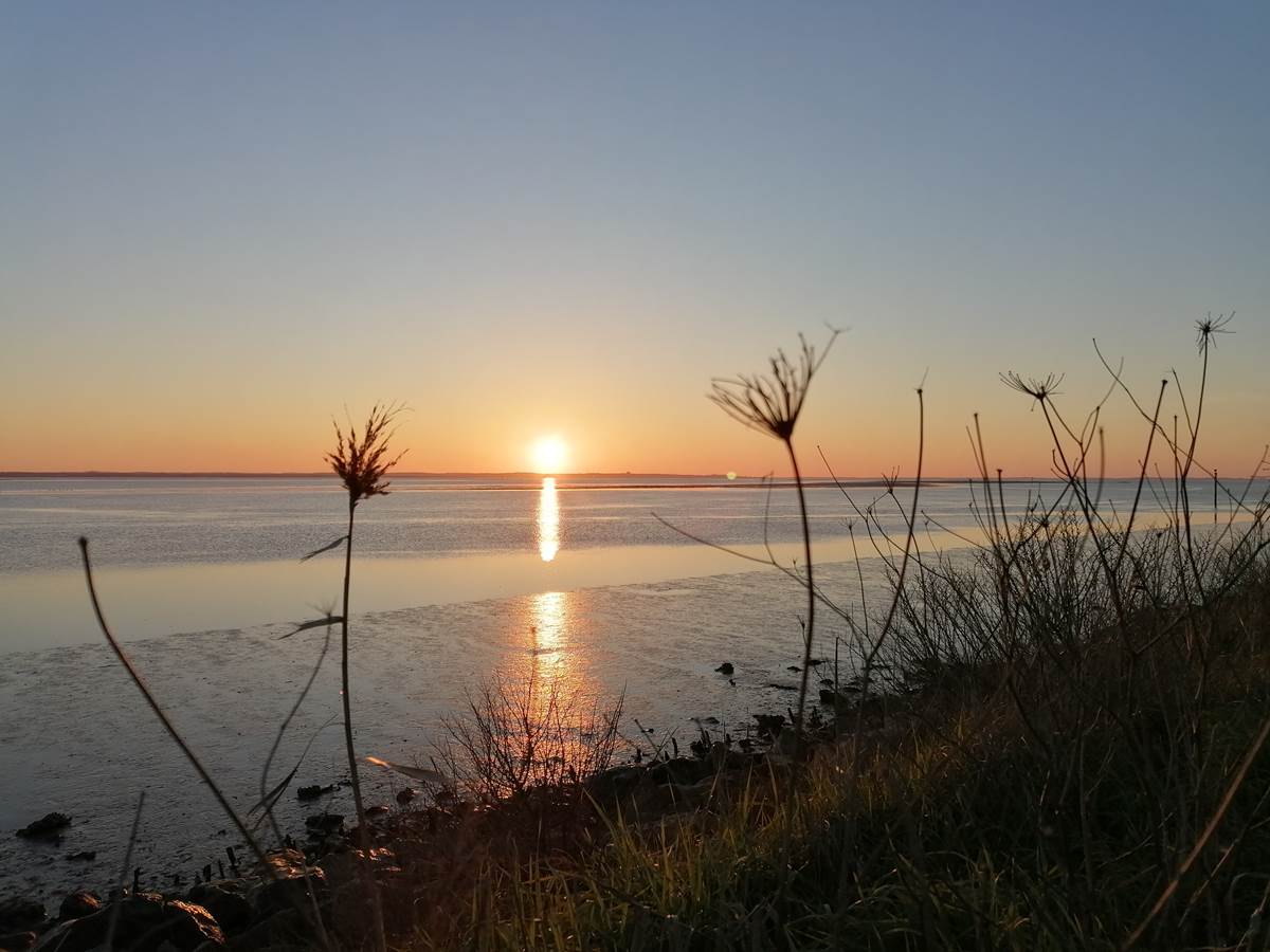 Les Callunes de Cassy - LANTON - FRANCE