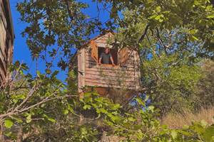 Cabane perchée dans les Arbres (Boréale) - Camping Montebello CARAMANY ...