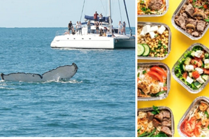 Sortie baleines en catamaran de Nouméa excursion longue (PETIT ...