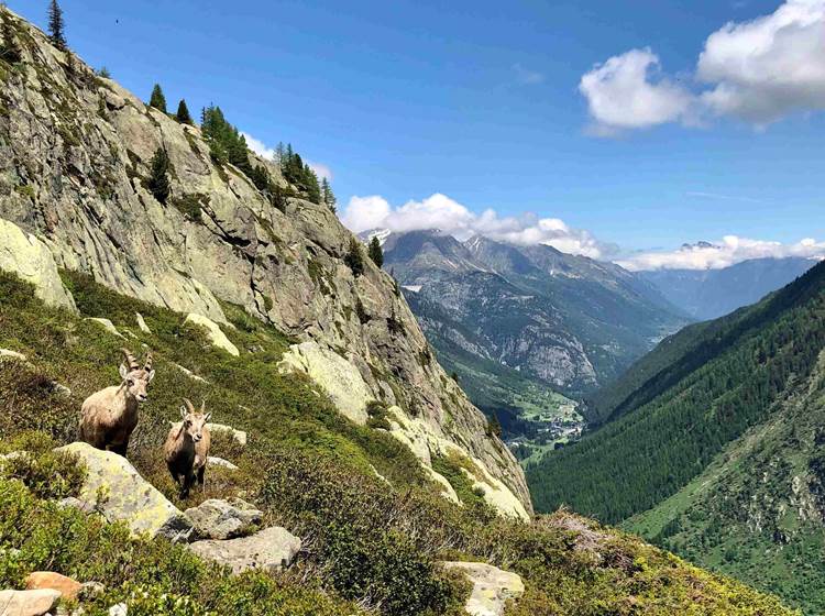 Le paradis de la randonnée et du trail toute l'année - Le calme, le ...