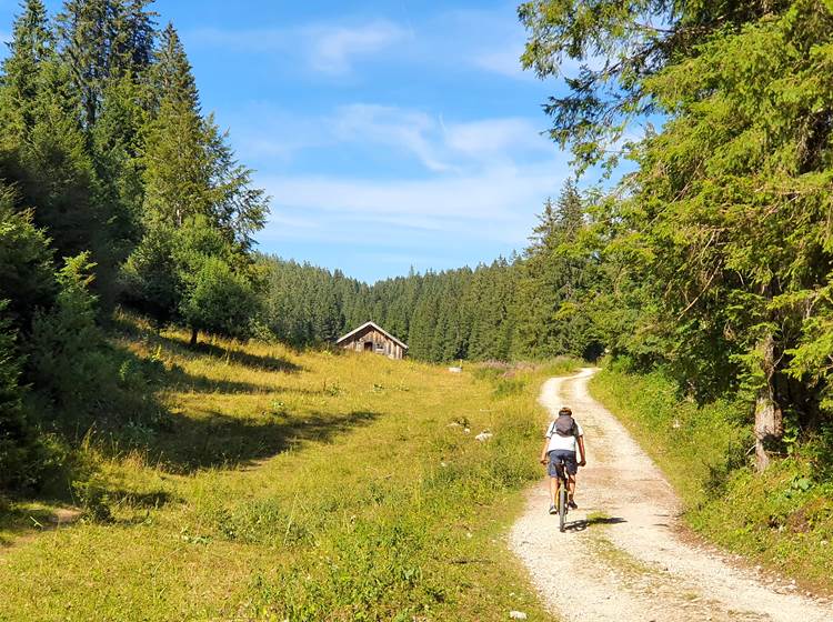 A faire aux beaux jours - Le Grenier des Rousses - LES ROUSSES - FRANCE